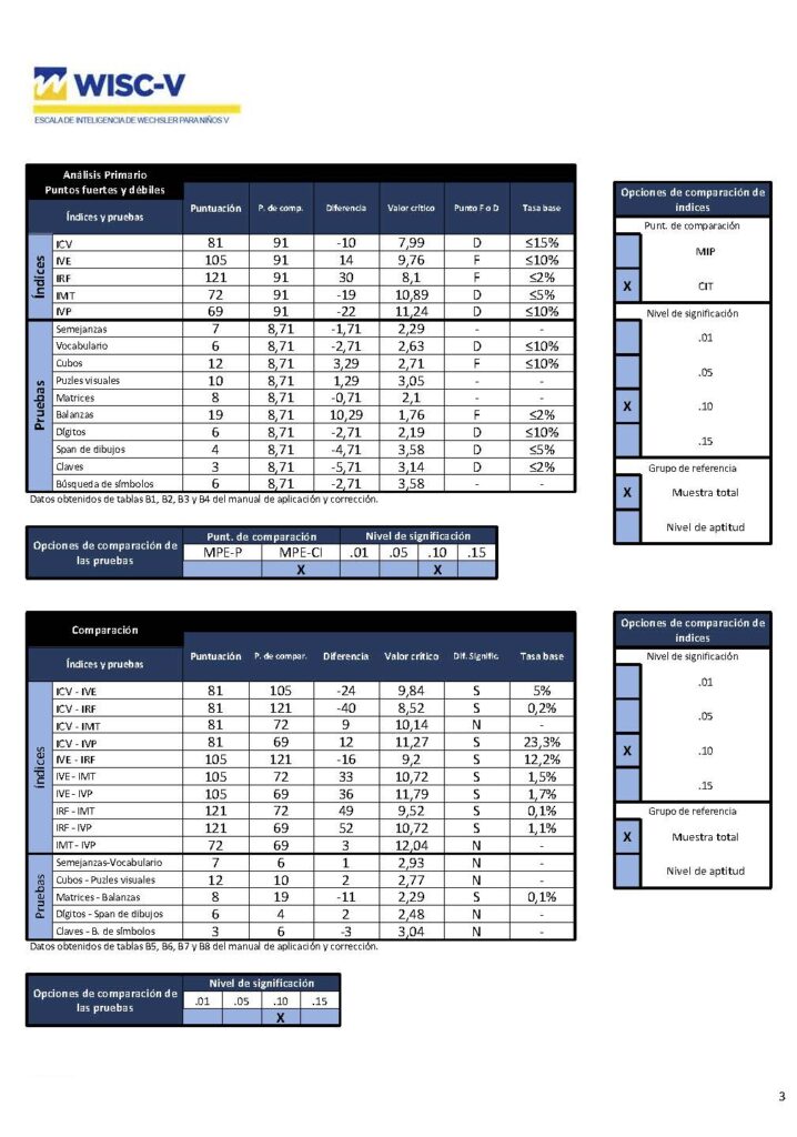 Informe-WISC-V - Informe automatizado mediante software